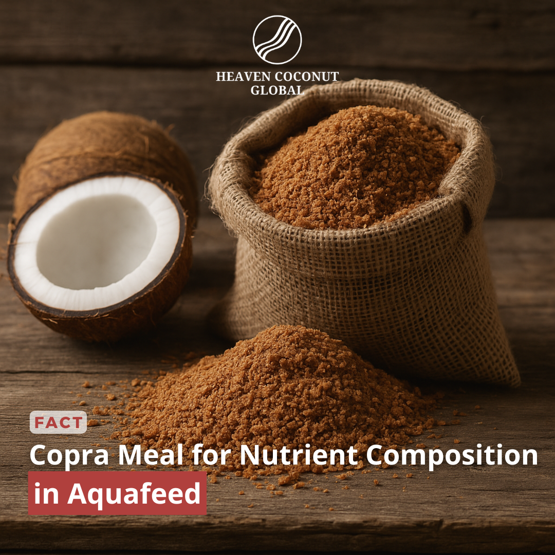 Copra Meal for Nutrient Composition in Aquafeed - Heaven Coconut Global