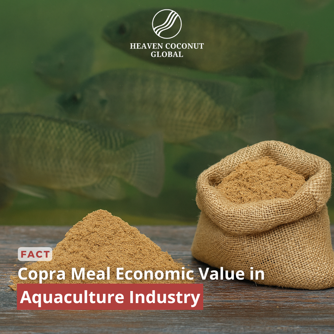 Copra Meal Economic Value in Aquaculture Industry - Heaven Coconut Global