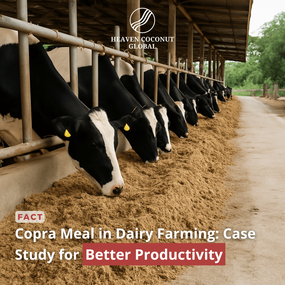 Copra Meal in Dairy Farming: Case Study for Better Productivity ...