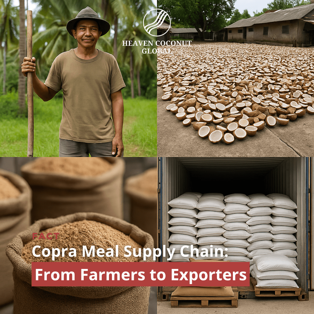 Copra Meal Supply Chain: From Farmers to Exporters - Heaven Coconut Global