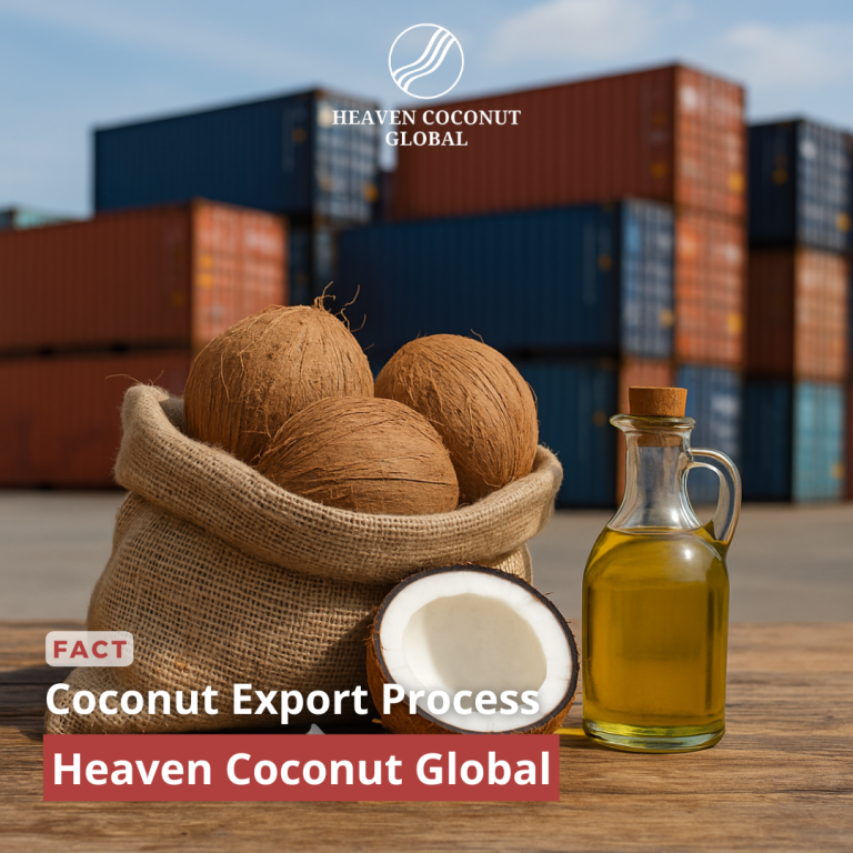 Coconut Export Process – Heaven Coconut Global - Heaven Coconut Global
