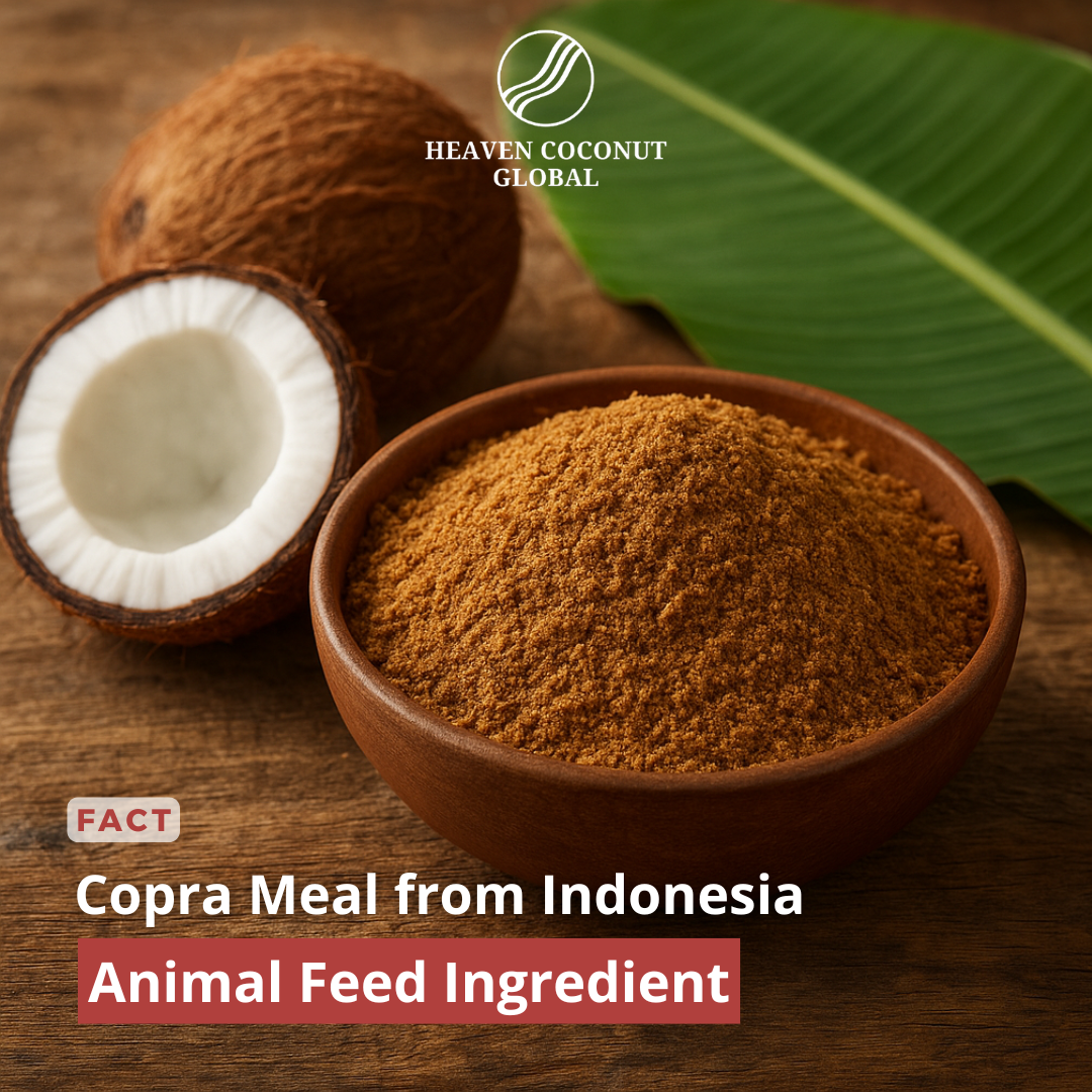 Copra Meal from Indonesia – A Sustainable Animal Feed Ingredient ...