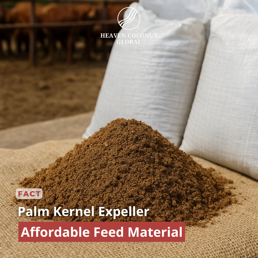 Palm Kernel Expeller – Affordable & High-Quality Feed Material - Heaven ...